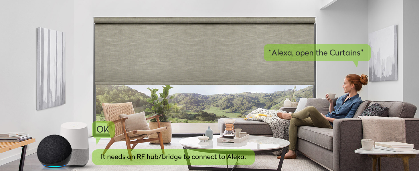 Amazon.com: ZSTARR Motorized Light Filtering Roller Blinds with Remote Control,Rechargeable ...