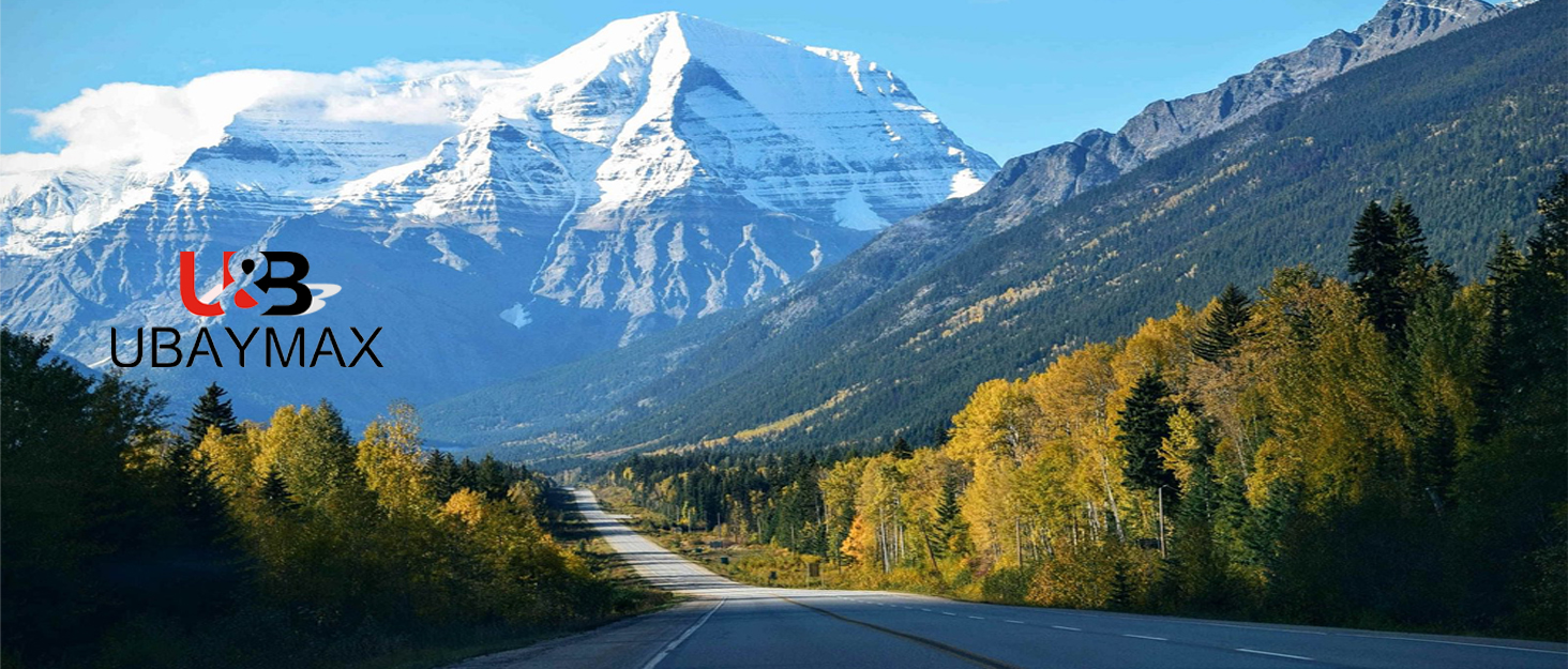 Amazon.com: UBAYMAX Camera Backpack, DSLR/SLR Mirrorless Canvas Camera Bags Waterproof Camera ...