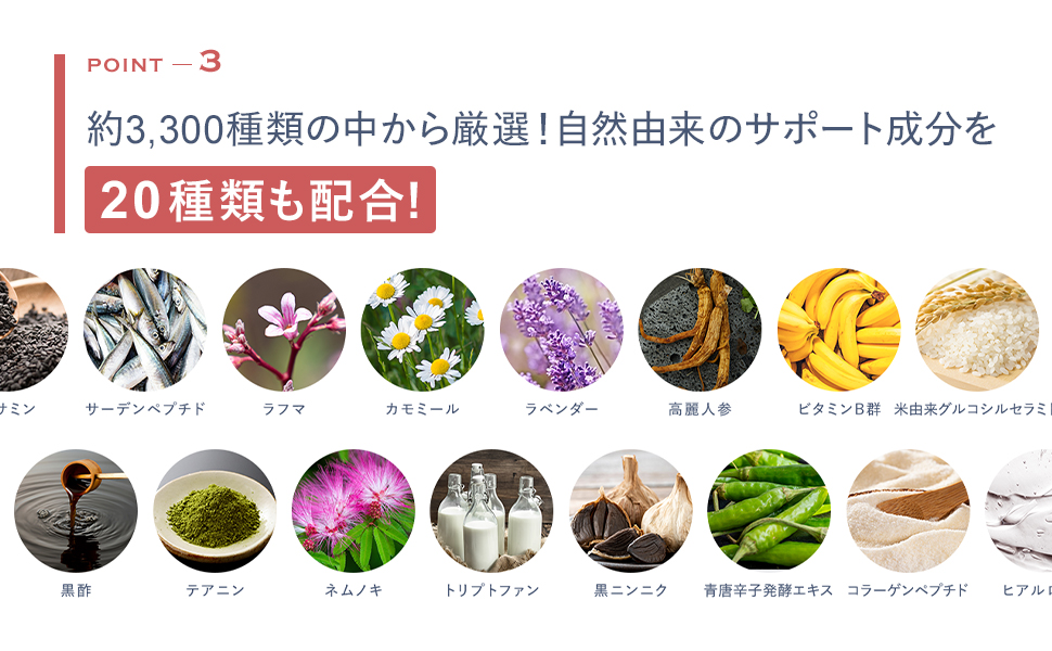 Amazon.co.jp: Daily GABA ビタブリッド デイリーGABA (機能性表示食品 / 30粒×1袋 / 15日分 お試し) 睡眠 ストレスケア サプリ (日本製/GABA ...