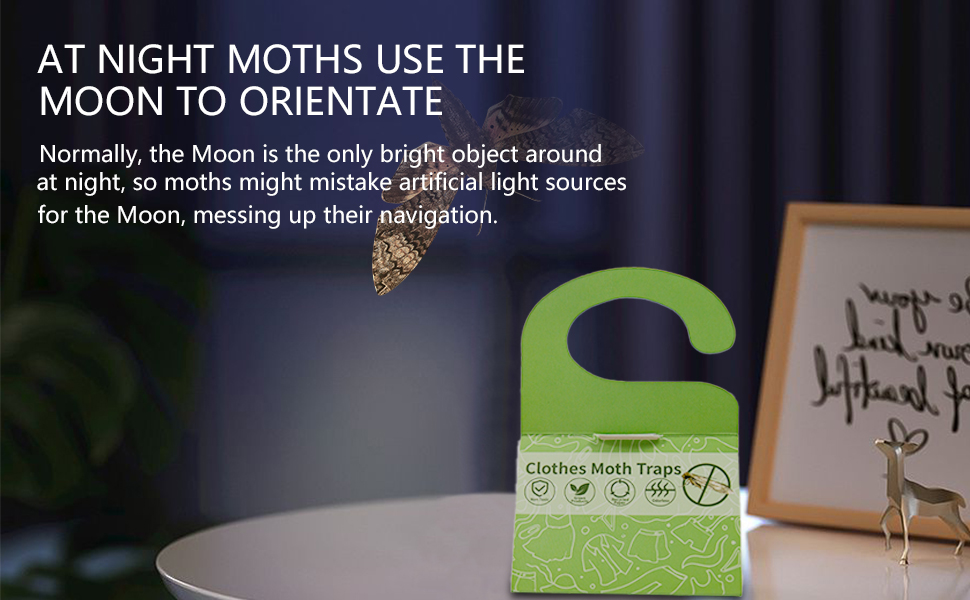 Amazon.com: UltraPestcide Moth Traps for Clothes, 12 Pack - Clothing Moth Traps with Pheromones ...
