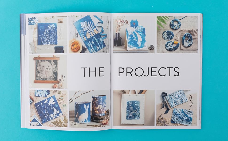 Beginner’s Guide to Cyanotype: Beautiful projects to print with light ...