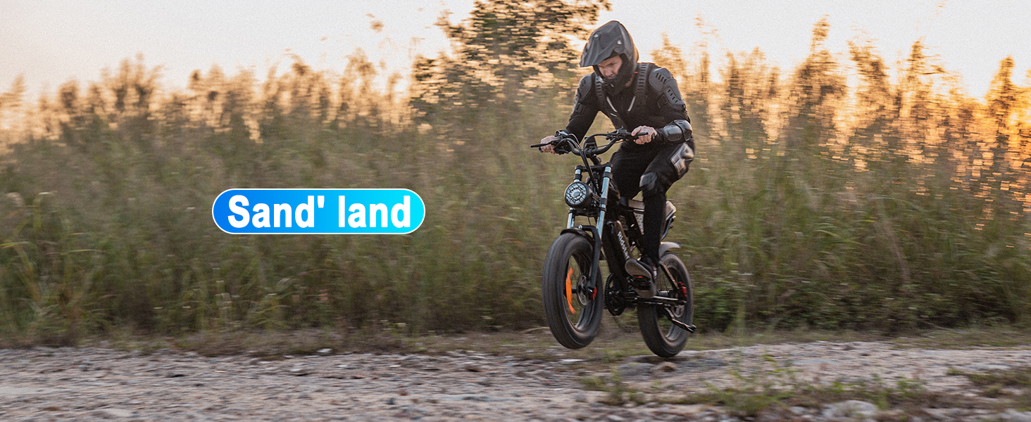 Amazon.com : YVY Electric Dirt Bike for Adults,1000W/1500W/2000W Motor 20" Fat Tire E Bike, Off ...