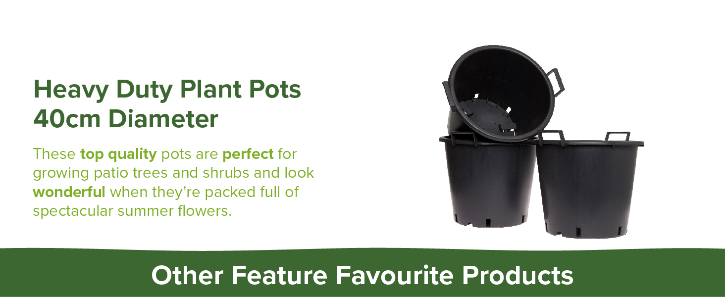 YouGarden - Duo Fruit Apple Tree, 2 Varieties of Apple on 1 Bare Root ...