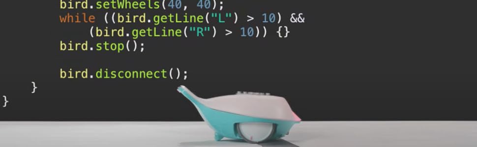Amazon.com: Finch Robot with Micro:bit V2 I Learn Basic Coding to ...