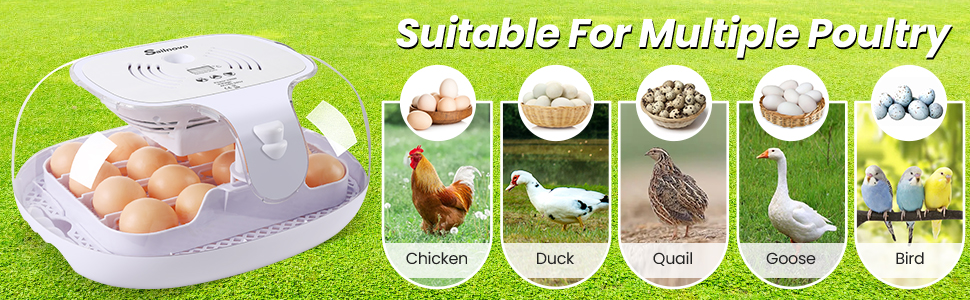 Amazon.com: Homdox Egg Incubator, 16-35 Chicks Incubator with Automatic External Water Top-up ...