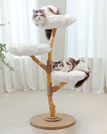 Amazon.com : Xiamiao 50" Tall Cat Tree Tower, Modern Cat Tree for Indoor Cats, Washable Wooden ...