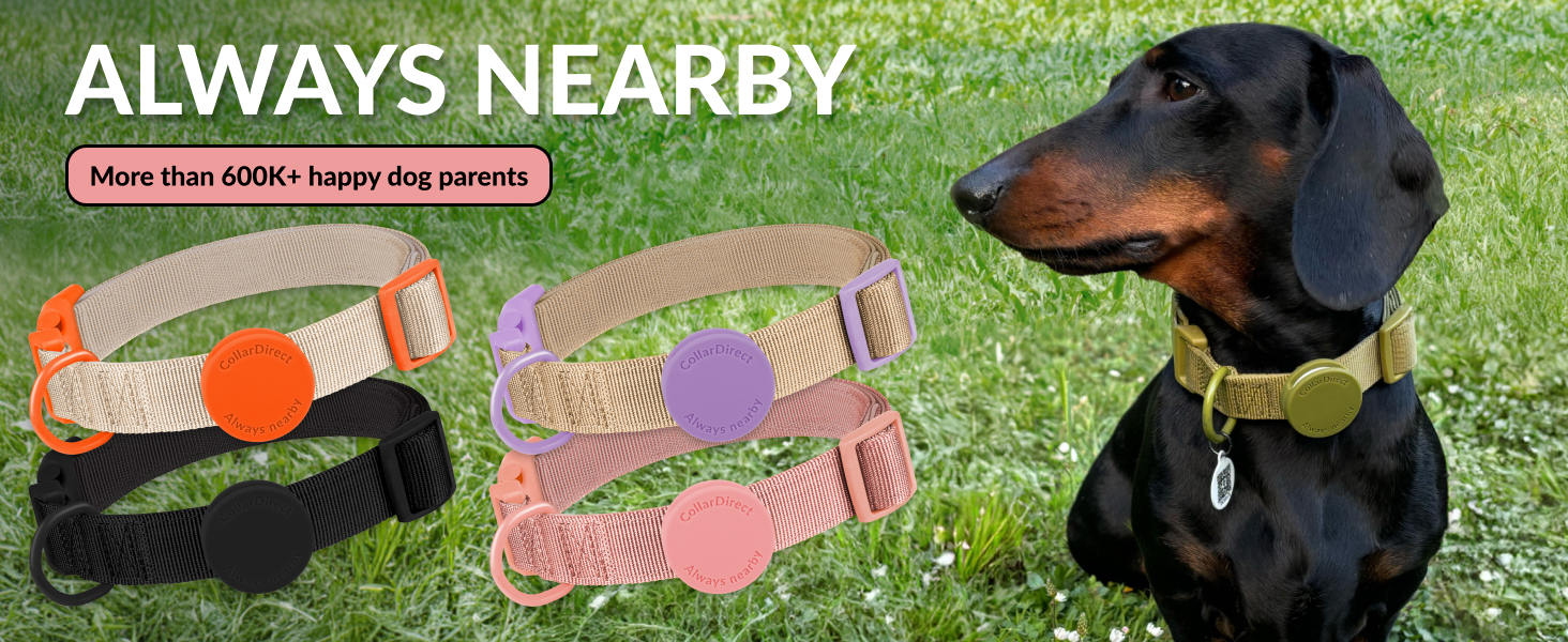 Amazon.com : CollarDirect Airtag Nylon Dog Collar Silicon Holder Designed for Apple Airtag with ...