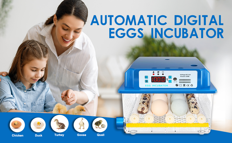 Amazon.com: Vevitts 16 Eggs Incubators for Hatching Egg with Automatic Turner, Fahrenheit ...
