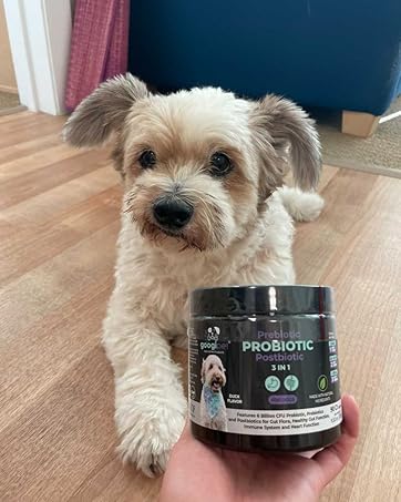 Amazon.com : Googipet 10 in 1 Dog Multivitamin with Dog Probiotics for Gut Health, Dog Vitamins ...