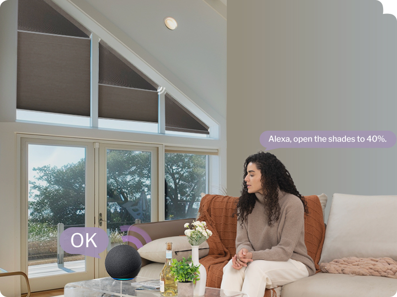 Amazon.com: Graywind Smart Angled Blinds Compatible with Alexa Google Motorized Right Trapezoid ...