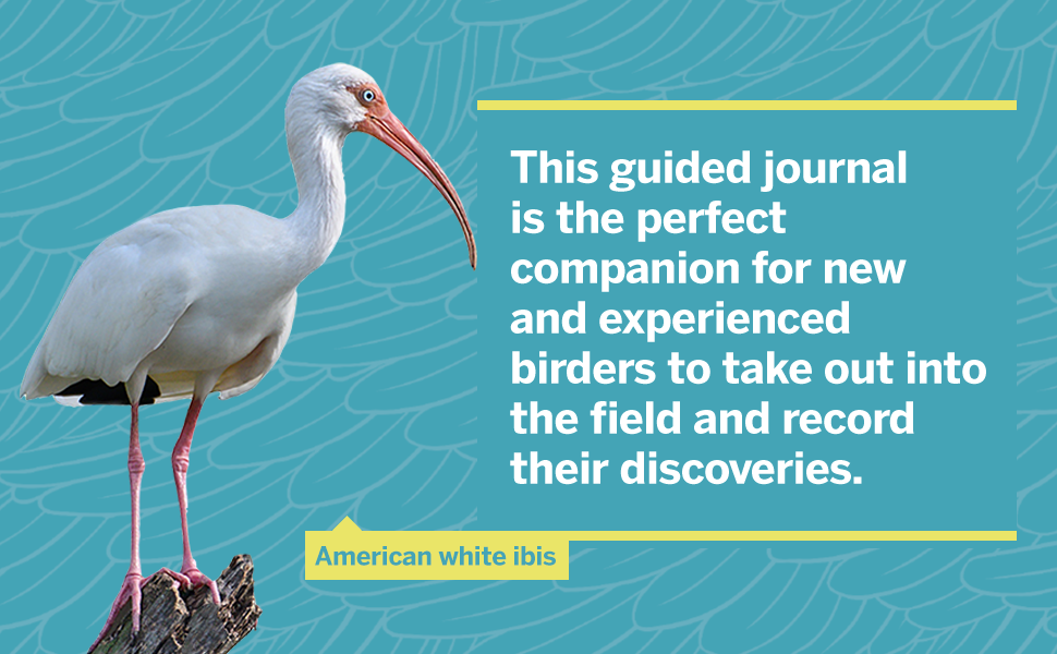 Amazon.com: Bird Watching Field Journal: Log, Sketchbook, and Life List (Bird Watching ...