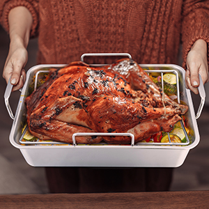 Amazon.com: E-far Roasting Pan, 16 x 11.5 Inch Stainless Steel Turkey ...