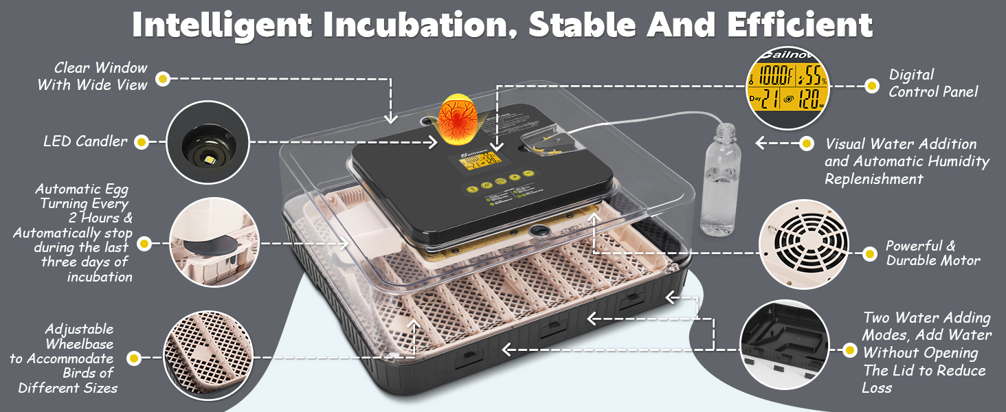 Amazon.com: Sailnovo 56 Egg Incubator for Hatching Eggs with Automatic Egg Turning and Auto ...