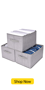 Amazon.com: GRANNY SAYS Storage Bins with Lids, Decorative Storage ...