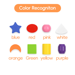 Amazon.com: 3 in 1 Wooden Color Sorting Stacking Toys, Montessori ...