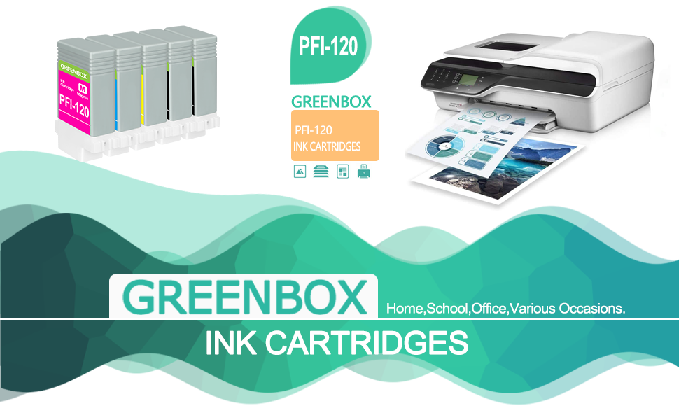 Amazon.com: GREENBOX Compatible Ink Cartridges Replacement for Canon PFI120 PFI-120 PFI-120MBK ...