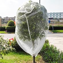 Amazon.com : 8.2x8.2ft Large Tree Netting for Fruit Trees Keep Birds Squirrels Cicadas and Small ...