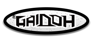 Amazon | 高圧洗浄機エンジン式 Gaidoh エンジ 付き高圧洗浄機 19Mpa 4つの噴射パターン 給水機能付 洗車 定格吸水量9.0L/min ハイパワーなエンジン 高出力4 ...