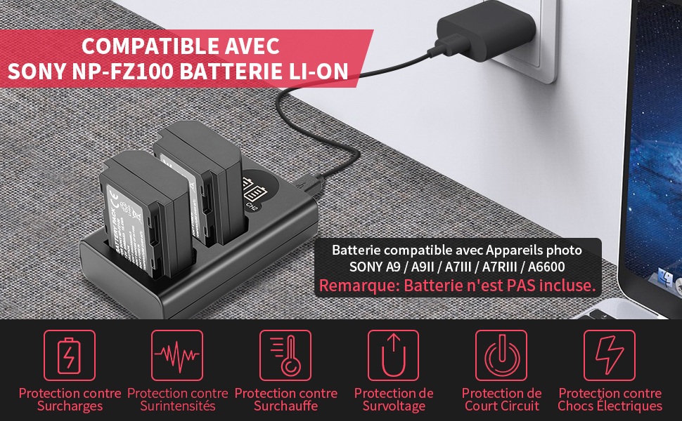Neewer Double Chargeur USB pour Batterie Sony NP-FZ100,Compatible avec Sony ZV-E1, FX3, FX30, A1 ...