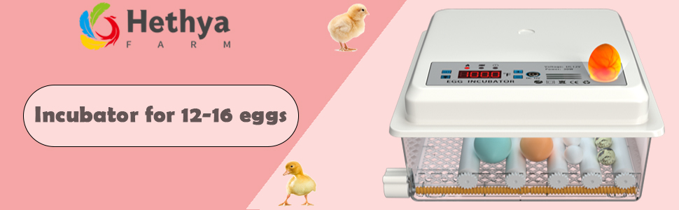 Amazon.com: Hethya Incubators for Hatching Eggs Fahrenheit 12-16 Eggs Incubator with Automatic ...