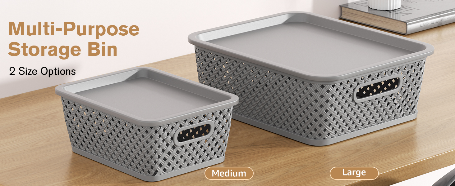 Amazon.com: MaxGear Organization & Storage, Plastic Bins with Lid ...