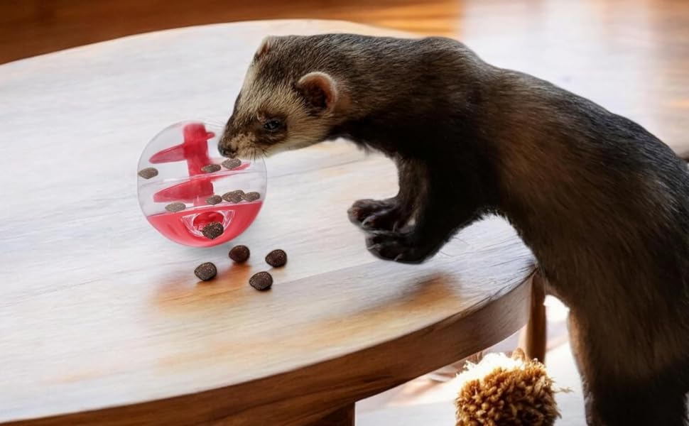 Amazon.com : Homedy Crafts Ferret Treat Ball Interactive Toy Balls for ...