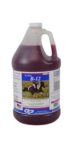 Amazon.com : SU-PER Chasteberry Liquid Supplement for Horses - Supports ...