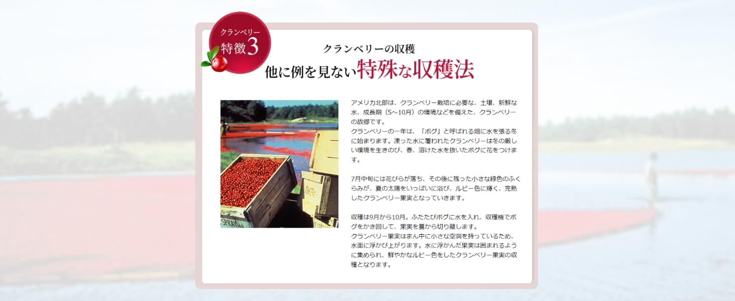 Amazon.co.jp: 【 公式 】 キッコーマン クランベリー UR100 500ml×10本 クランベリージュース 果汁 100％ 紙パック キャップ付き : ドラッグストア