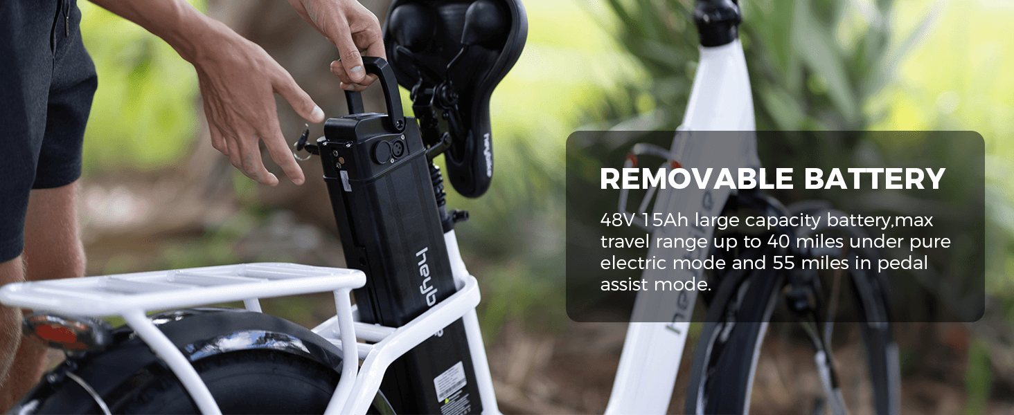 Heybike Ranger Electric Bike 500W Foldable Ebike with 48V 15Ah Removable Battery, Hey Bike 20 ...