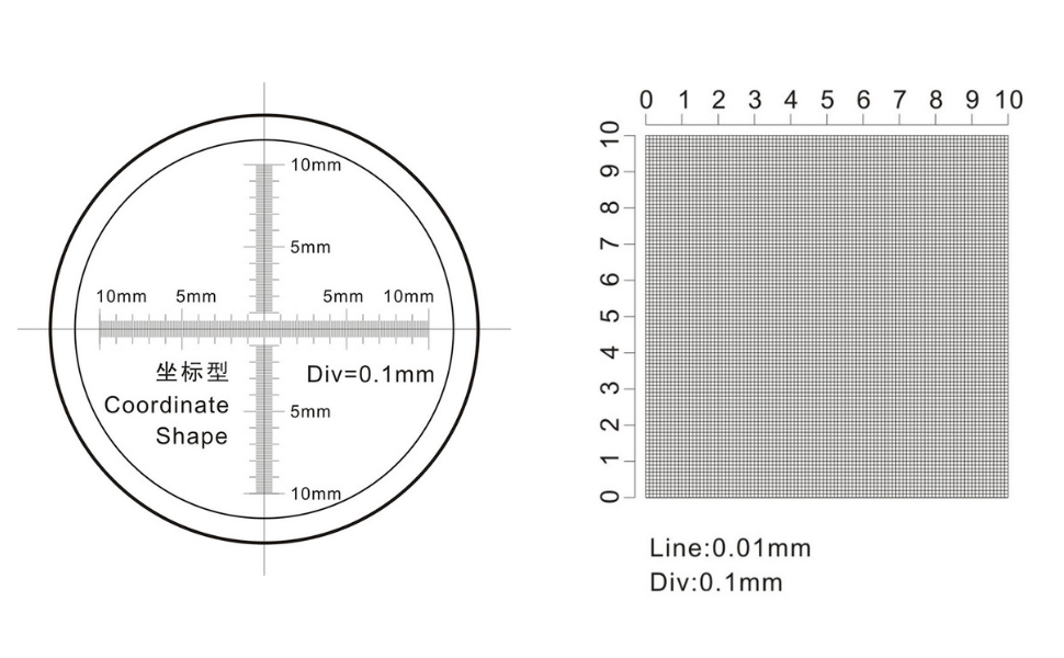 Amazon.com: 2PCS Ruler for Microscope, Micrometer Calibration Slide Line Width Particle Diameter ...