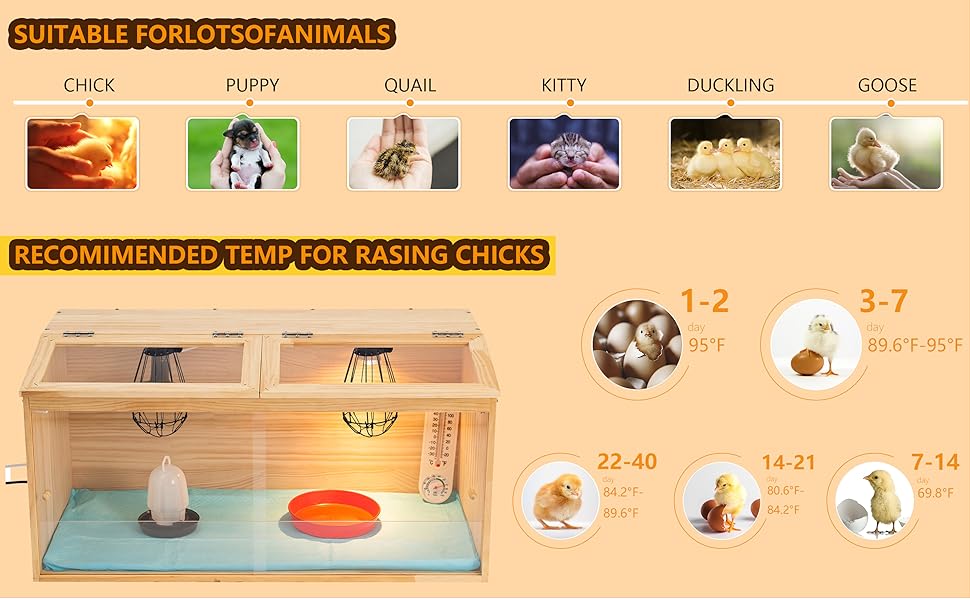 Amazon.com: Large Brooder Box for Chicks with Bulb Set and Thermometer Up to 35 Chicks Wooden ...