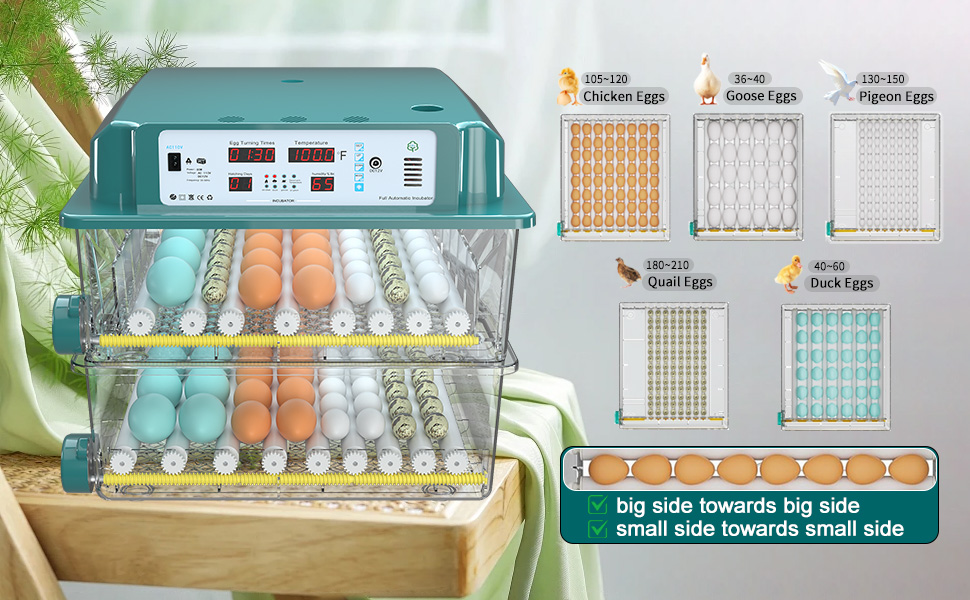 Amazon.com: Chalixion Incubators for Hatching 120 Eggs, Egg Incubator with Automatic Egg Turning ...