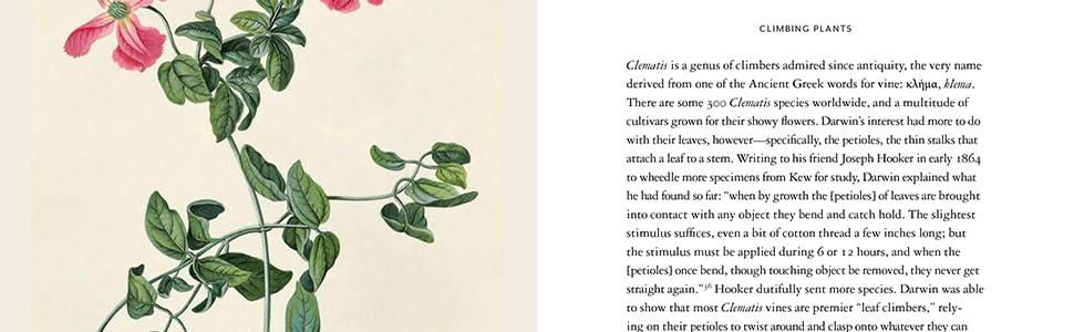 Darwin and the Art of Botany: Observations on the Curious World of Plants: Costa, James T ...