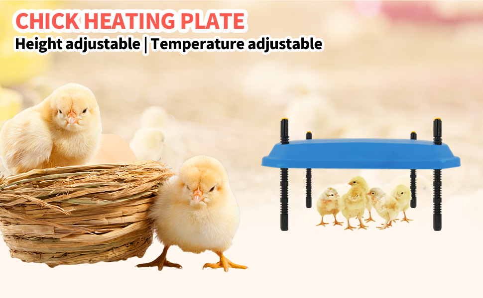Amazon.com : Eachbid Chick Brooder Heating Plate, 66W Chicken Brooder with Temperature ...