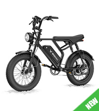 Amazon.com : BIGNIU Electric Bike for Adults,1500W Brushless Motor 48V/31.5Ah Removable Battery ...