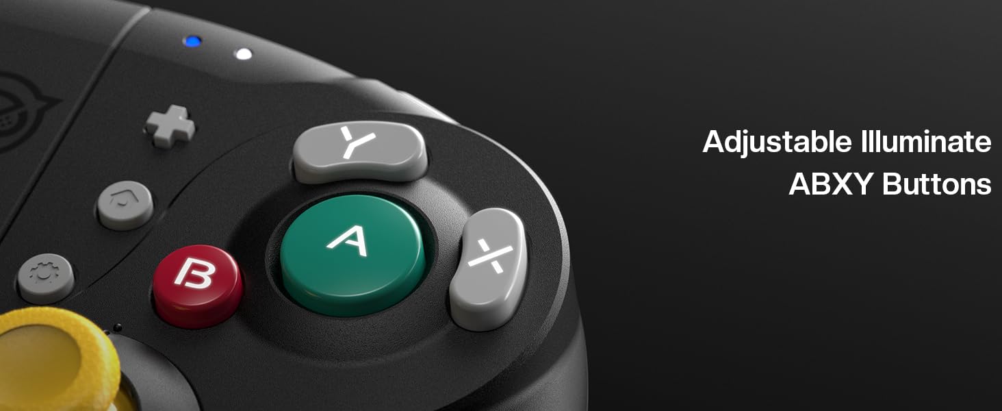 Amazon.com: NYXI Wizard Gamecube Switch Controller for Nintendio Switch ...