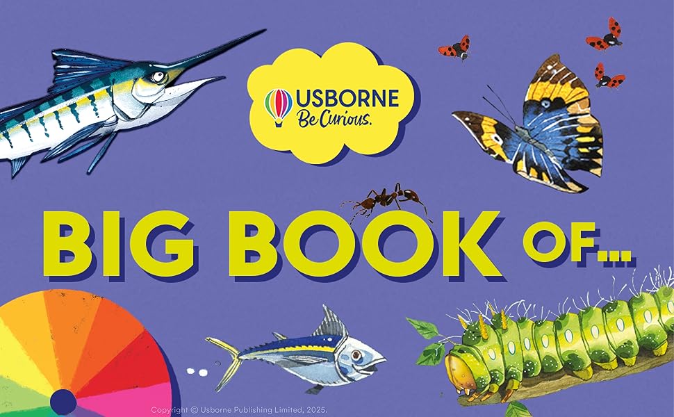 Big Book of Colors (Big Books): Brooks, Felicity, Touliatou, Sophia ...