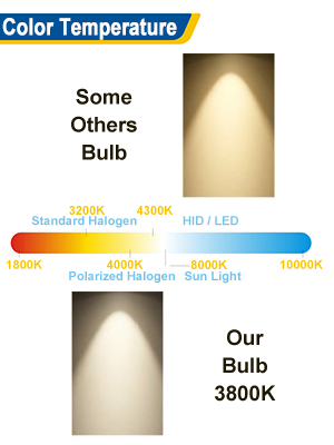 Amazon.com: Sinoparcel 9012/HIR2 Halogen Bulb Brighter Upgrade -2Yrs WTY- Replacement for 55W ...