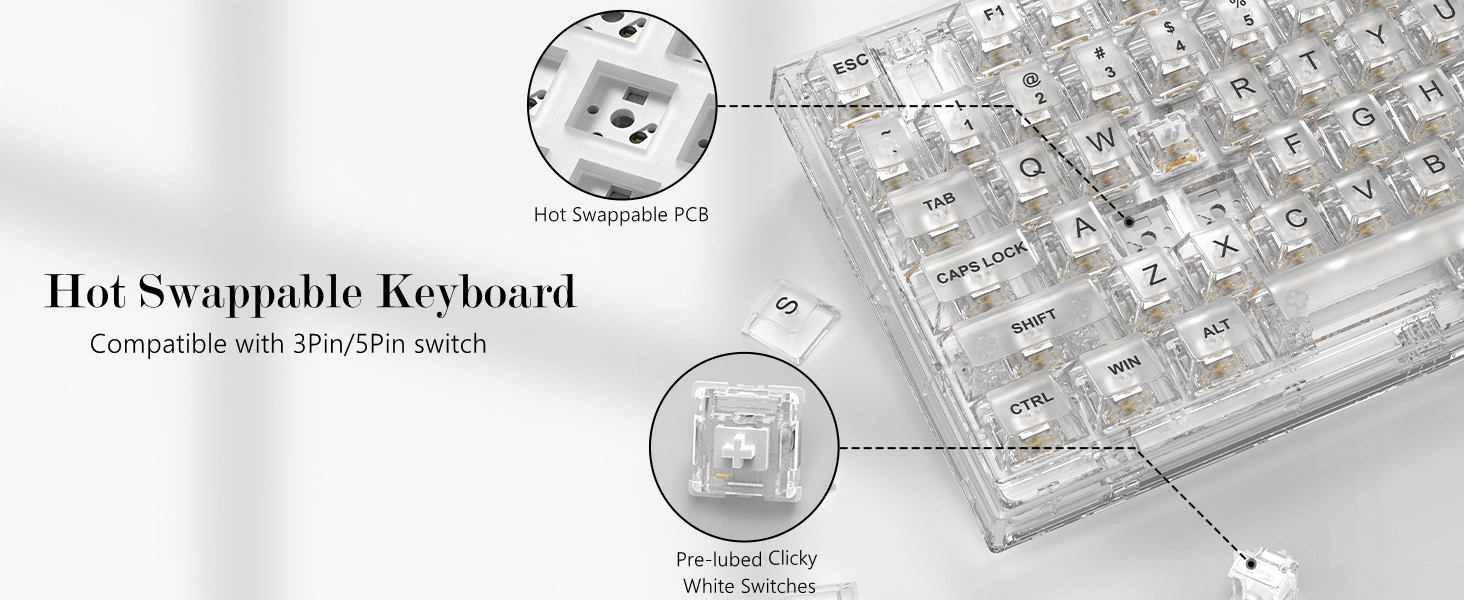 Amazon.com: Womier 75% Percent Keyboard, Gasket Mount Mechanical Gaming Keyboard, 82 Keys Wired ...