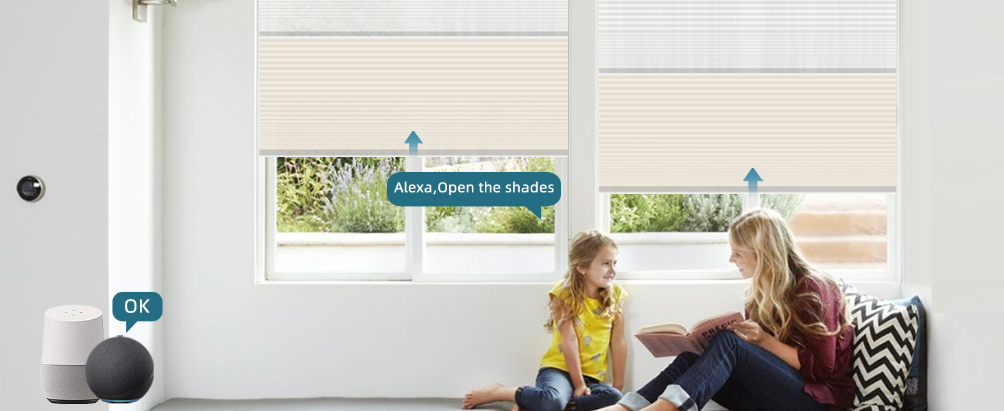 Amazon.com: Weffort Motorized Day Night Cellular Shades,Work with Remote Control,Top Down Bottom ...