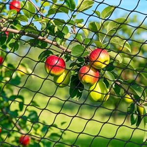 Amazon.com : VBWSL 6 x 50 FT Bird Netting for Garden, 1" Square Mesh Size Heavy Duty Nylon ...