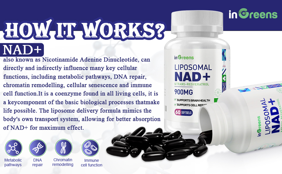Amazon.com: Suplemento liposomal de NAD+ de 900 mg con Trans Resveratrol 300 mg, reemplaza NMN ...