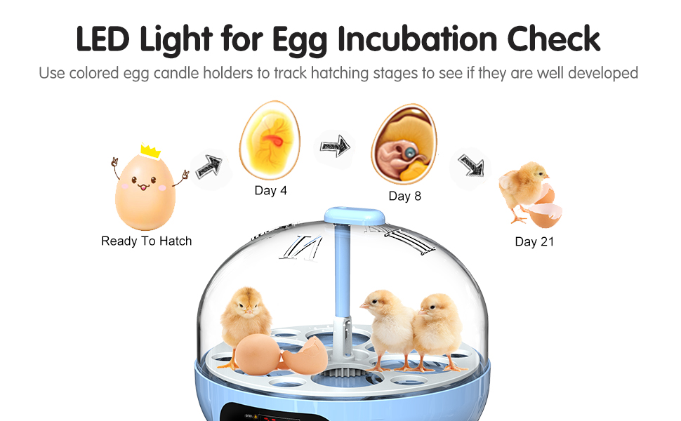 Amazon.com: DEZHXHE Egg Incubator for Hatching Eggs, Digital Mini Fully Automatic Egg Incubator ...