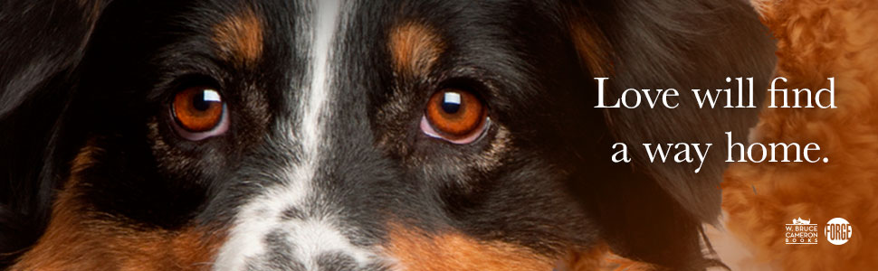 Amazon.com: My Three Dogs: A Novel: 9781250900203: Cameron, W. Bruce: Books