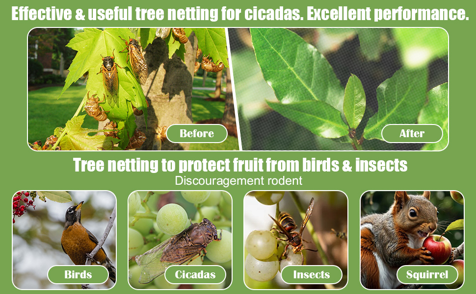 Amazon.com : 2 Packs 8' x 8' Large Garden Cicada Netting for Trees, Ultra-Fine Fruit Tree ...