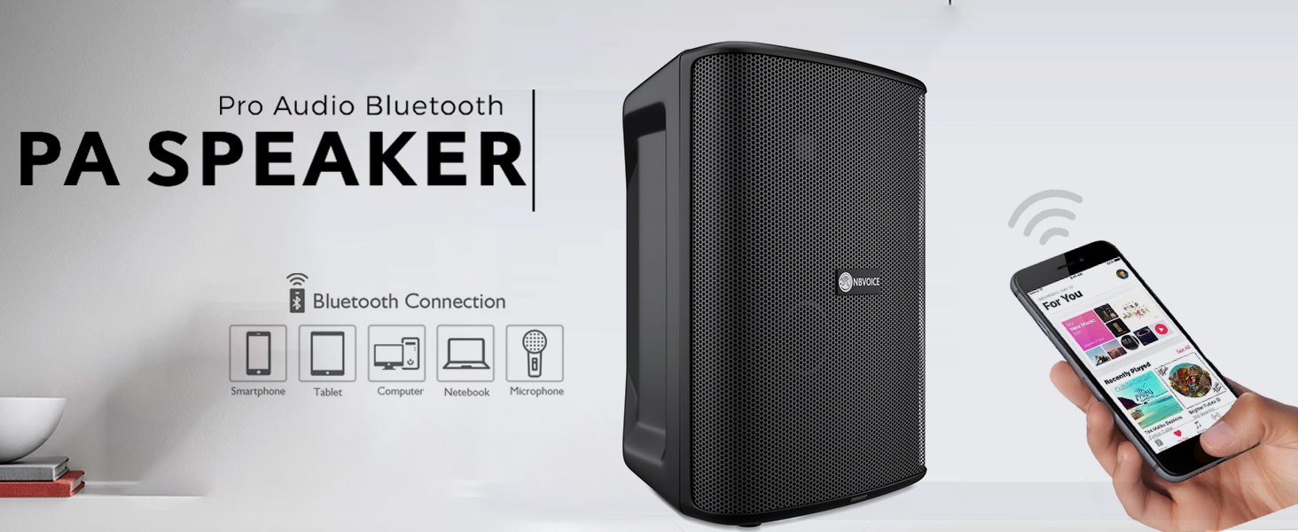 Amazon.com: NBVOICE All-in-1 Portable Speaker System, Powerful Bass, 2 ...