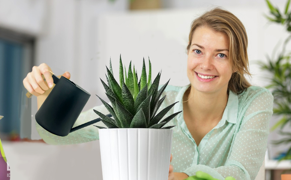 Amazon.com : kathson Watering Can for Indoor Plants, 35oz/1000ml Small Watering Can, Plant ...