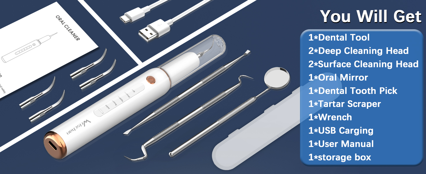 Amazon.com : Wrischan Tartar Remover for Teeth, Electric Plaque Remover ...