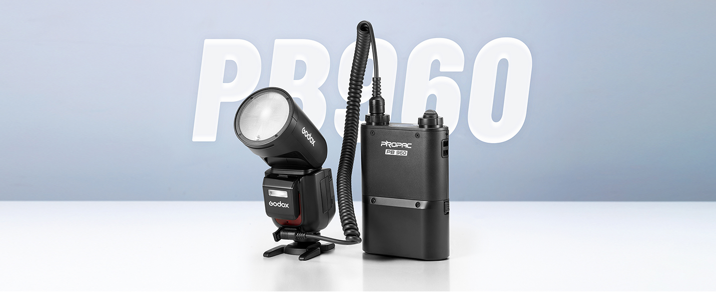 GODOX V1 Pro V1Pro-S Flash Speedlite, V1-S Versión Mejorada para Cámaras Sony : Amazon.com.mx ...