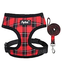 Amazon.com : PUPTECK Soft Mesh Dog Harness and Leash Set Step-in Plaid Puppy Padded No Pull Vest ...